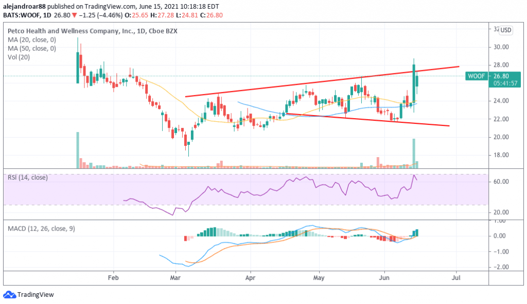 WOOF Stock Price Down 8% - Good Time to Buy WOOF Stock?