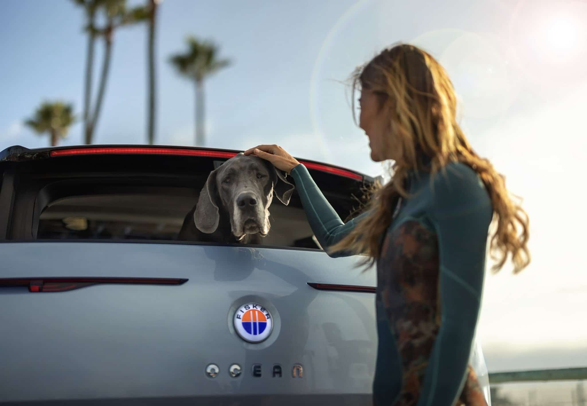 Fisker Stock Price Up 35% in 2021 – Time to Buy FSR Stock? - Economy Watch